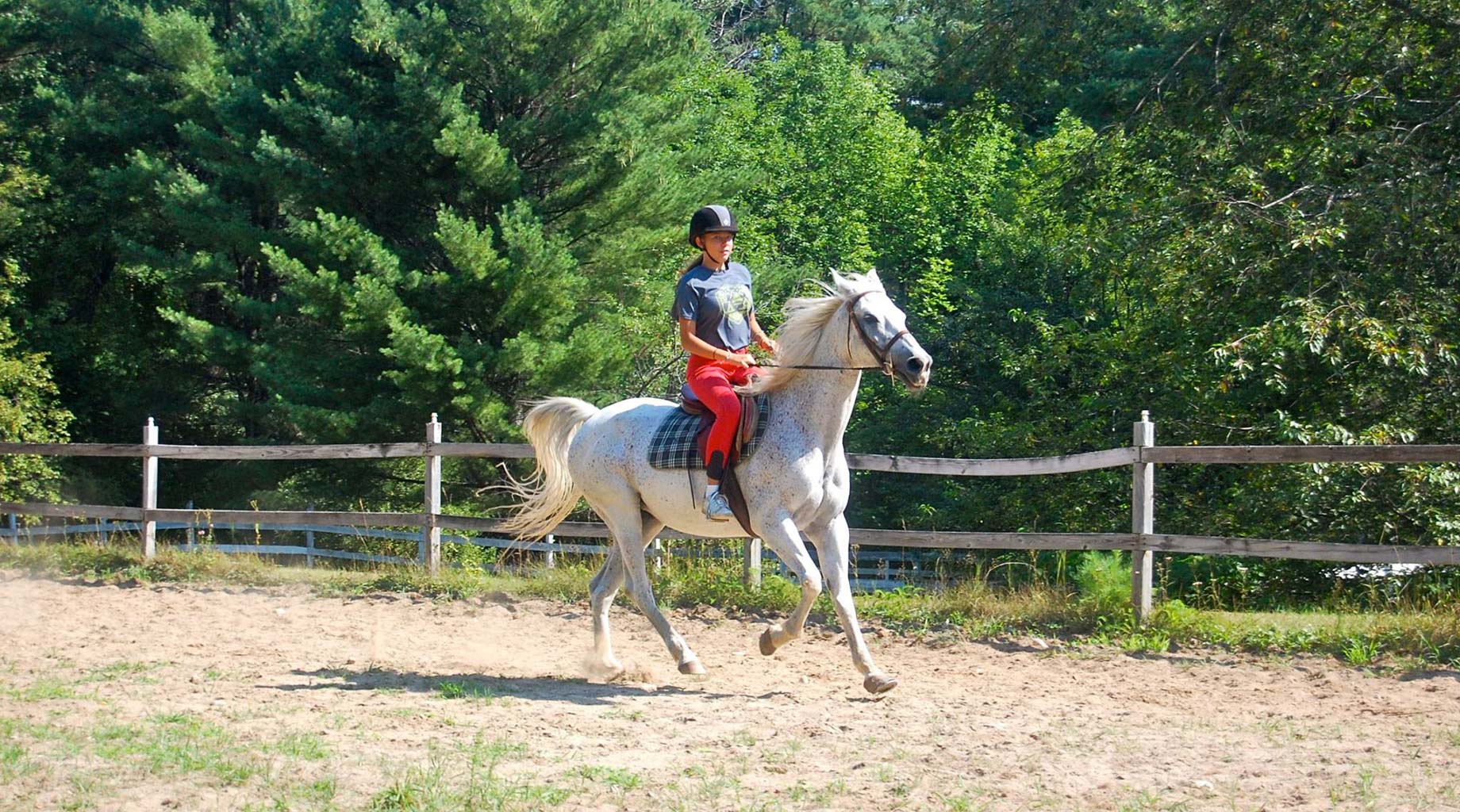 Summer Camp Horseback Riding | Camp Waziyatah, Maine